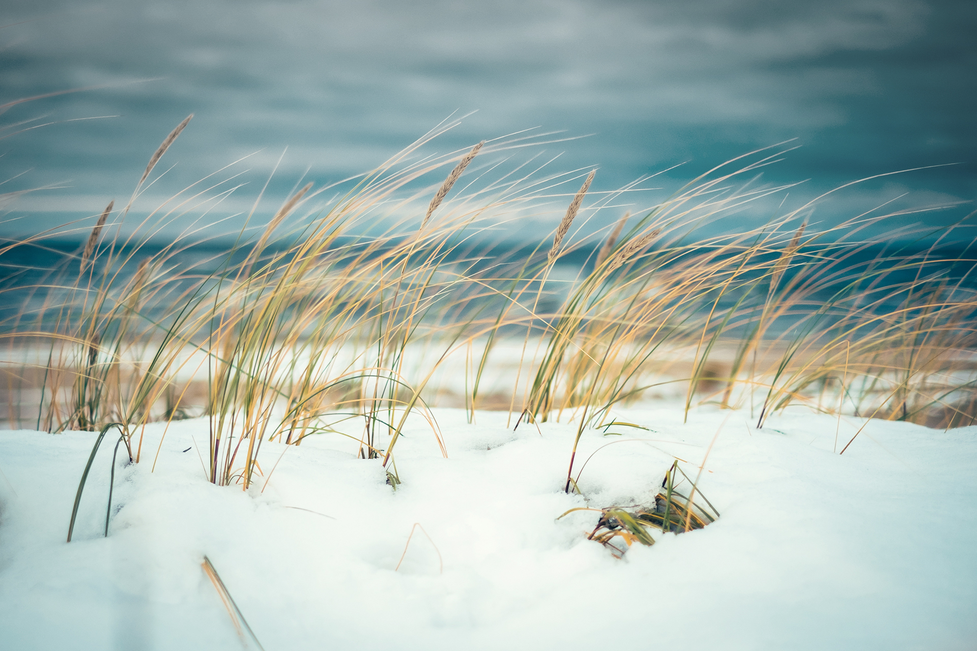 Vi söker en senior wind & site-konsult - Etha