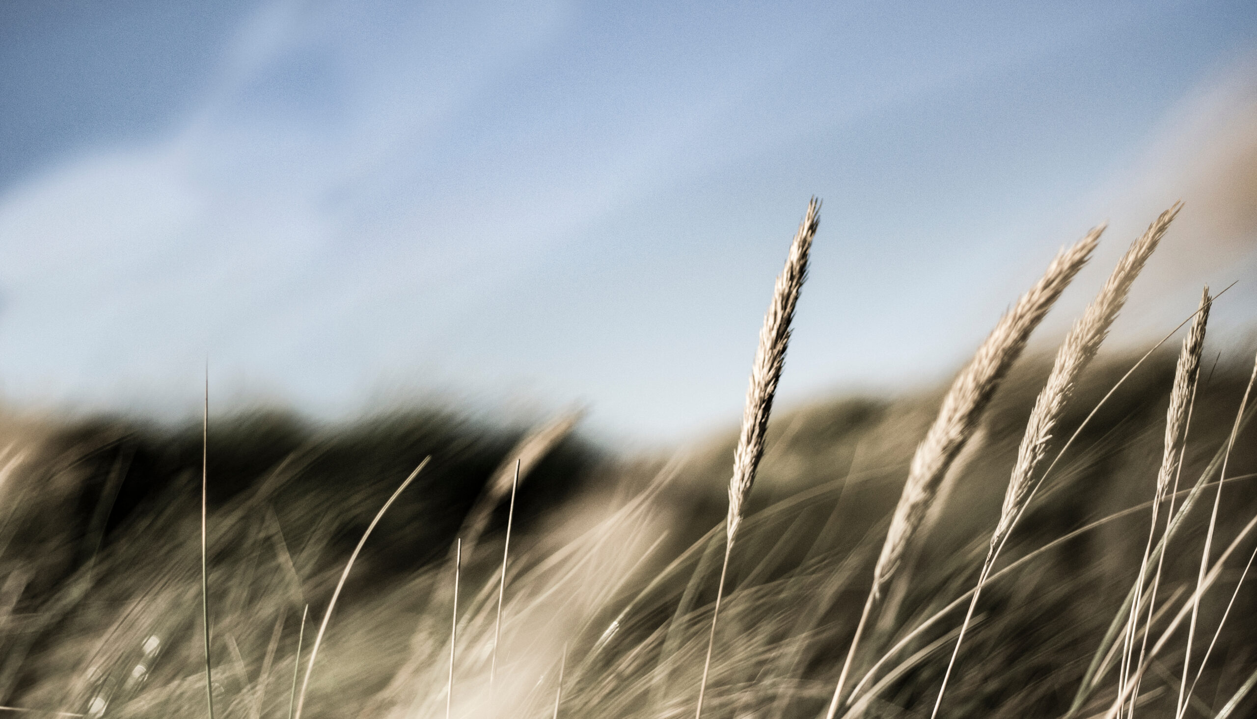 Due Diligence And Contract Review For Helen And Ålandsbanken - Etha