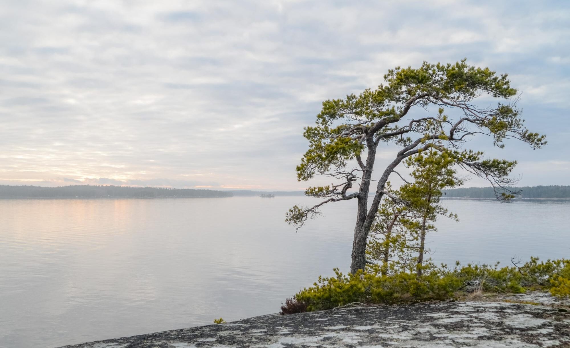 Projektinvälitys- sekä transaktionhallintapalveluita Puhuri Oy:lle - Etha