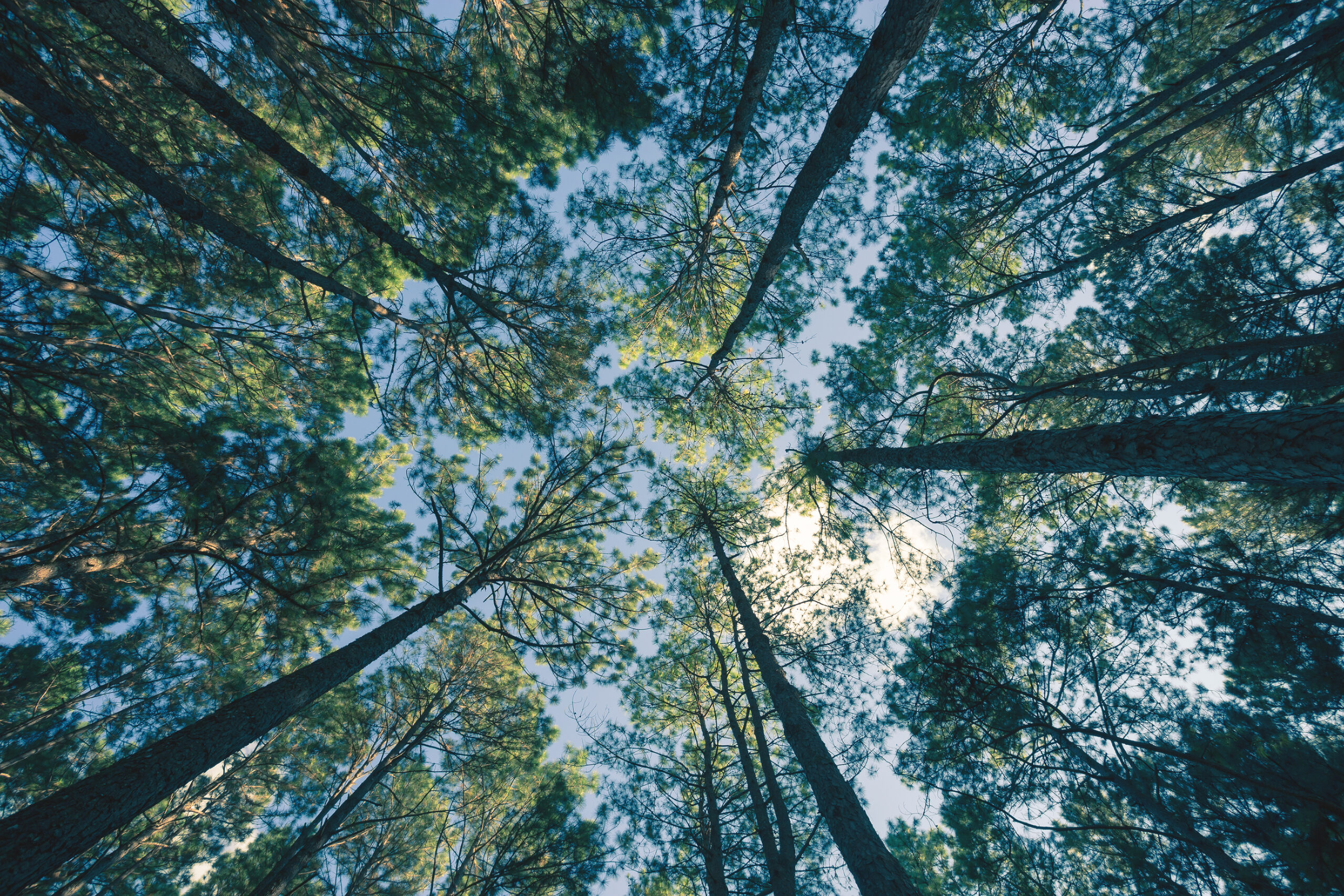 We are recruiting: Project Manager - Etha