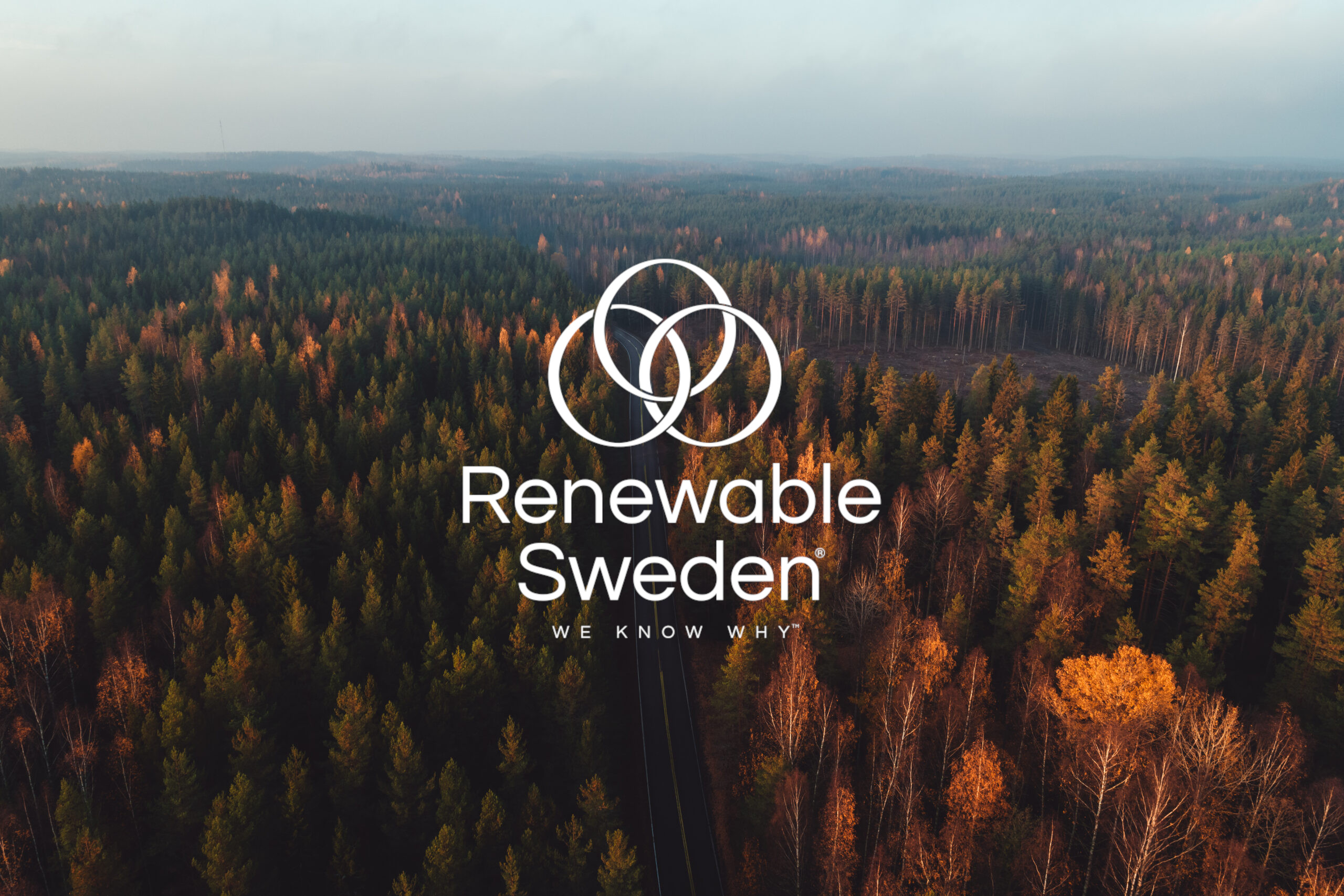Welcome to the top of the world – new cooperation with Renewable Sweden ...