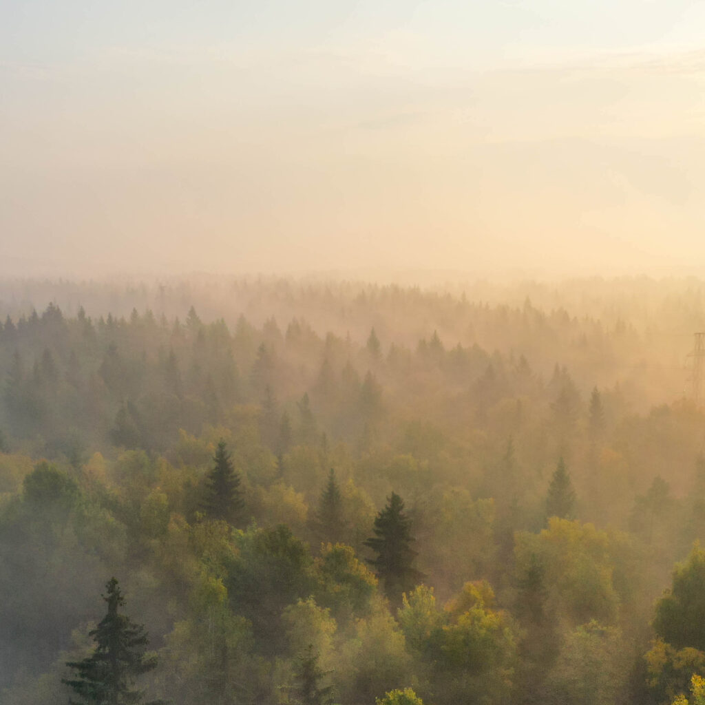 A leading sustainable energy consultancy - Etha - Finland's leading ...