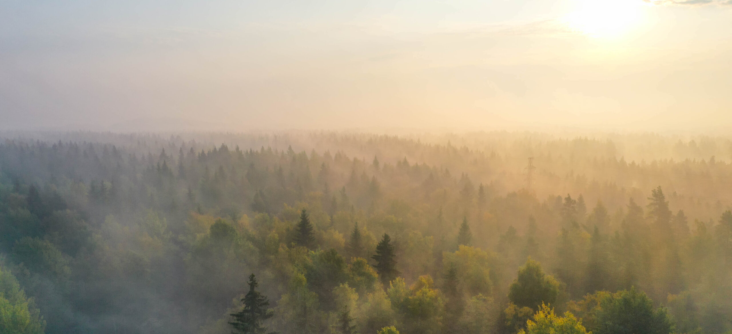 Onshore wind power - Etha